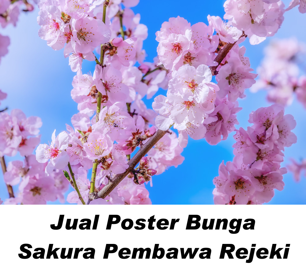 Gambar Bunga Plum Blossom Menurut Feng shui Untuk kemurnian, kekuatan ...