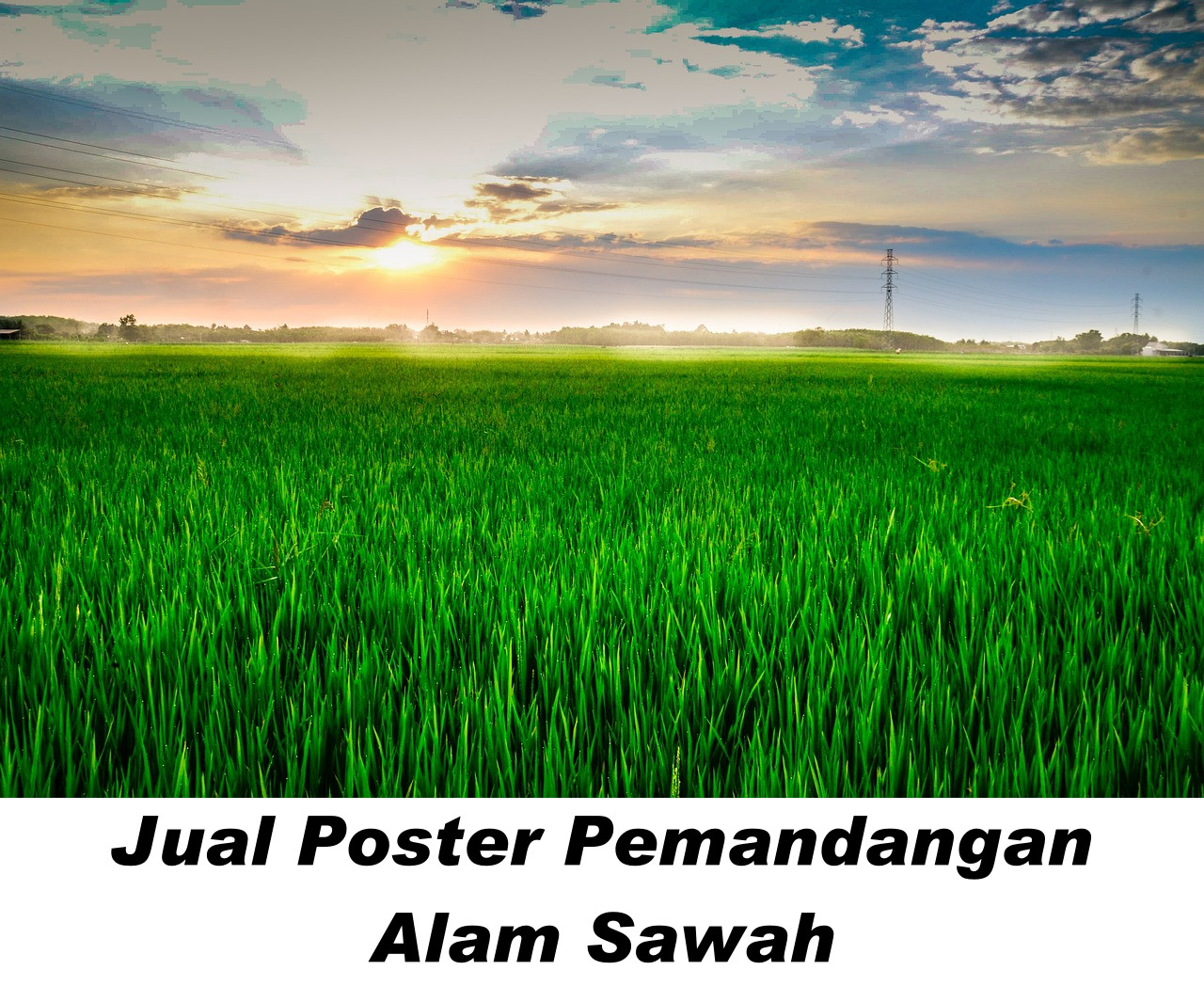 Poster Pemandagan Alam Untuk Dekorasi Ruangan - Juragan Poster