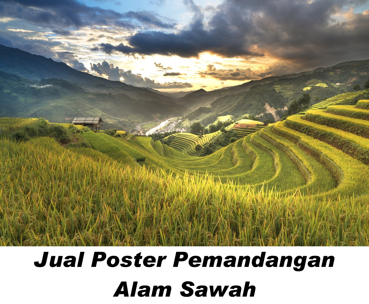 Poster Pemandangan Alam Sawah Untuk Dekorasi Ruangan - Juragan Poster