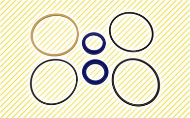 Thieman Cylinder Rebuild Kit - THE Liftgate Parts