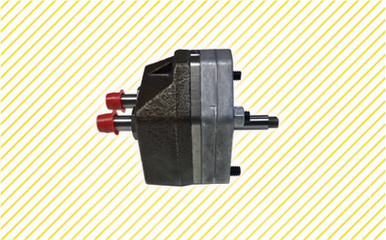 Maxon Pump Assy Gear Bi-Rot for Original Power Unit - THE Liftgate Parts
