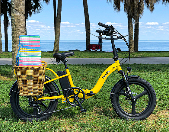 VeeGo Semi-Fat SR All Terrain Bike