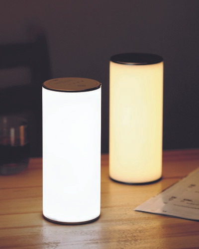 Gravity Lamp*