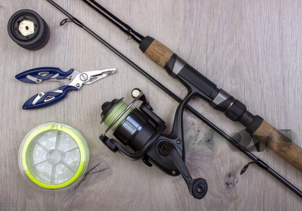 A Comprehensive Guide To Fishing Reel Components - Mikes Reel Repair Ltd