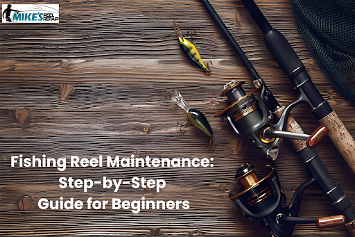 Fishing Reel Maintenance: Step-by-Step Guide for Beginners - Mikes Reel ...