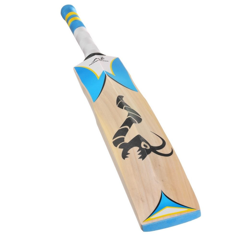 Woodworm Cricket iBat 235 Junior Cricket Bat - Woodworm.tv