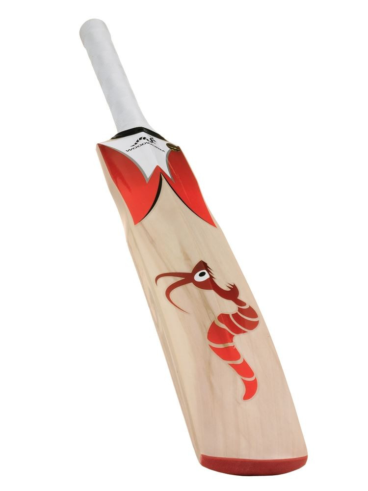 Woodworm Cricket Fireworm Flame Mens Cricket Bat - Woodworm.tv
