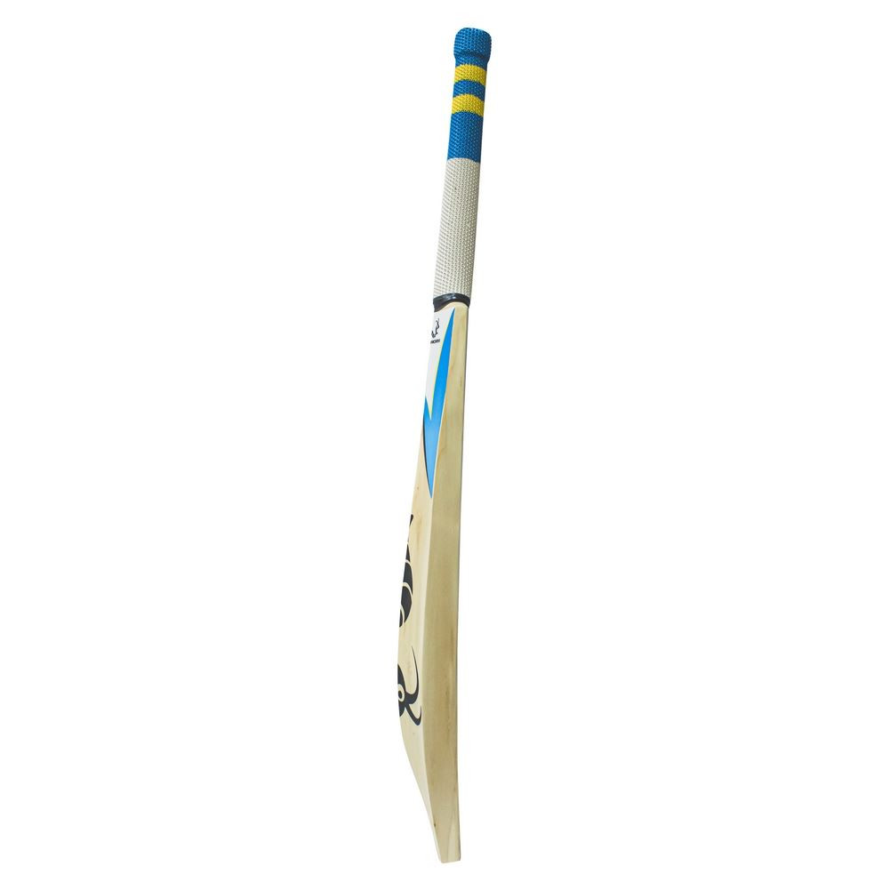 Woodworm Cricket iBat Select Grade 1 Cricket Bat - Woodworm.tv