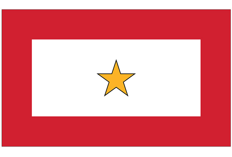 Gold Star 3x5 Service Flag - 1 Star