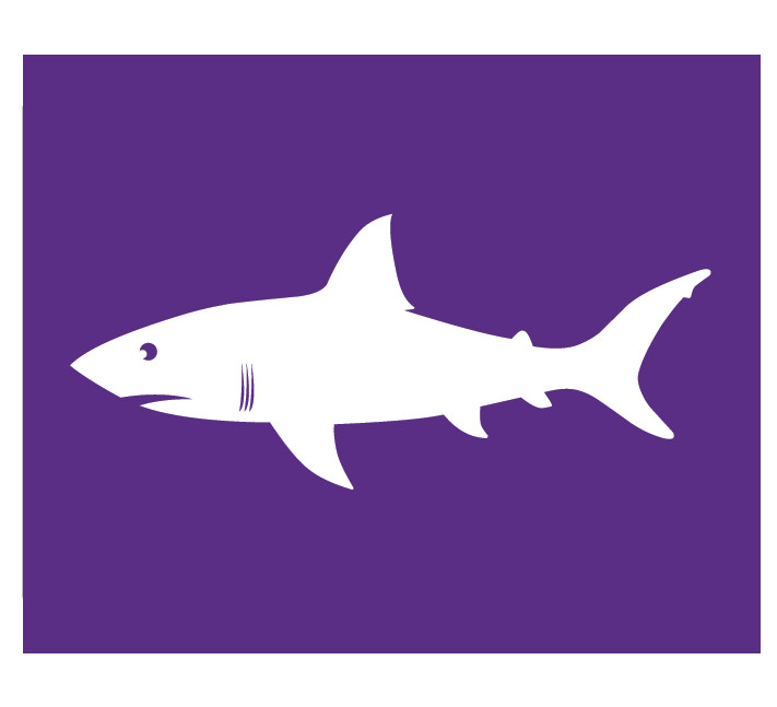 Shark Warning - Purple ( Cape Cod )