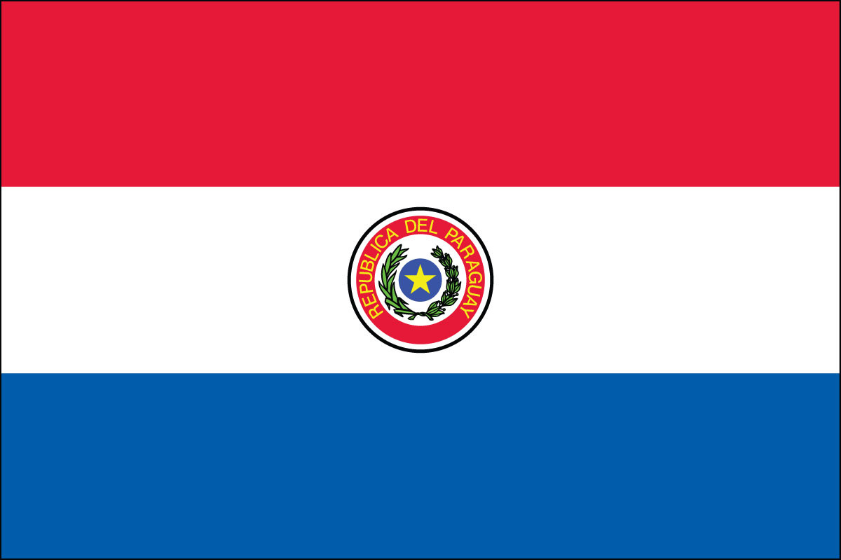 Paraguay - 4" x 6" Miniature Stick Flags