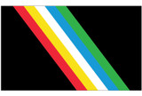 Disability Pride 8x12 Foot Flag