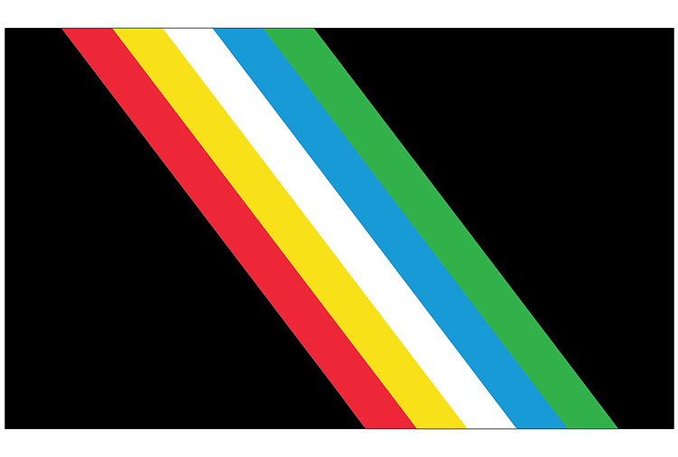 Disability Pride 8x12 Foot Flag