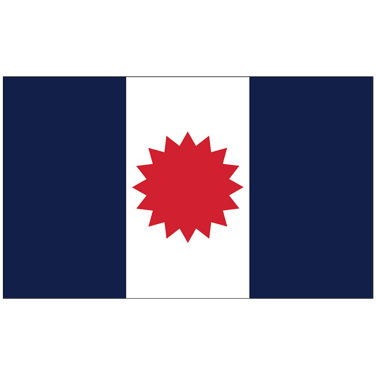 Tai Dam 3x5 Custom Flag