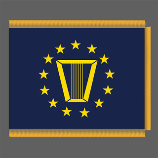 USN Senior Executive Service Fringed Flag- Indoor