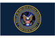 Director of National Intelligence Flag