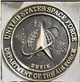 Space Force 6 Inch Medallion