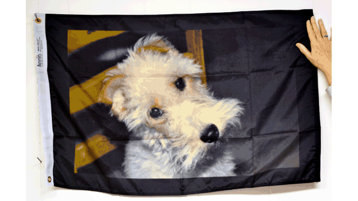 Pet Flags Gallery