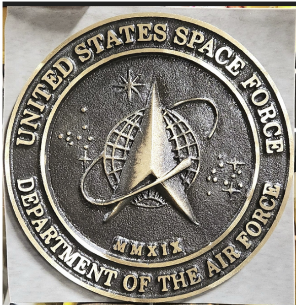 Space Force 6 Inch Medallion