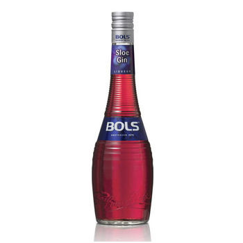 Bols Sloe Gin Liqueur 1L | ShopWineDirect Fine Wine & Spirits