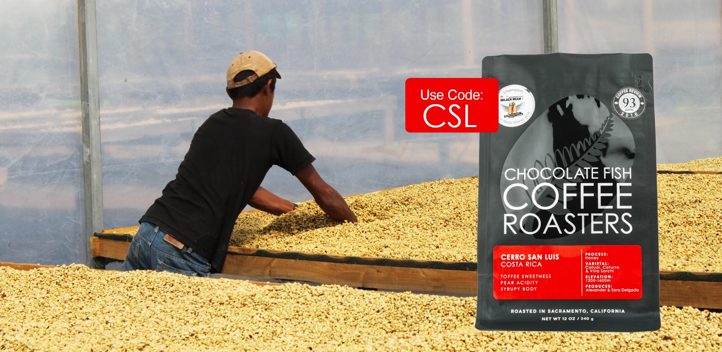 Chocolate Fish Coffee Store | Buy Coffee & Home Brewing Equipment Online