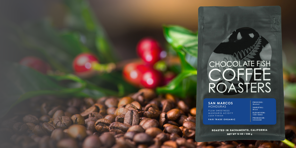 Chocolate Fish Coffee Store | Buy Coffee & Home Brewing Equipment Online