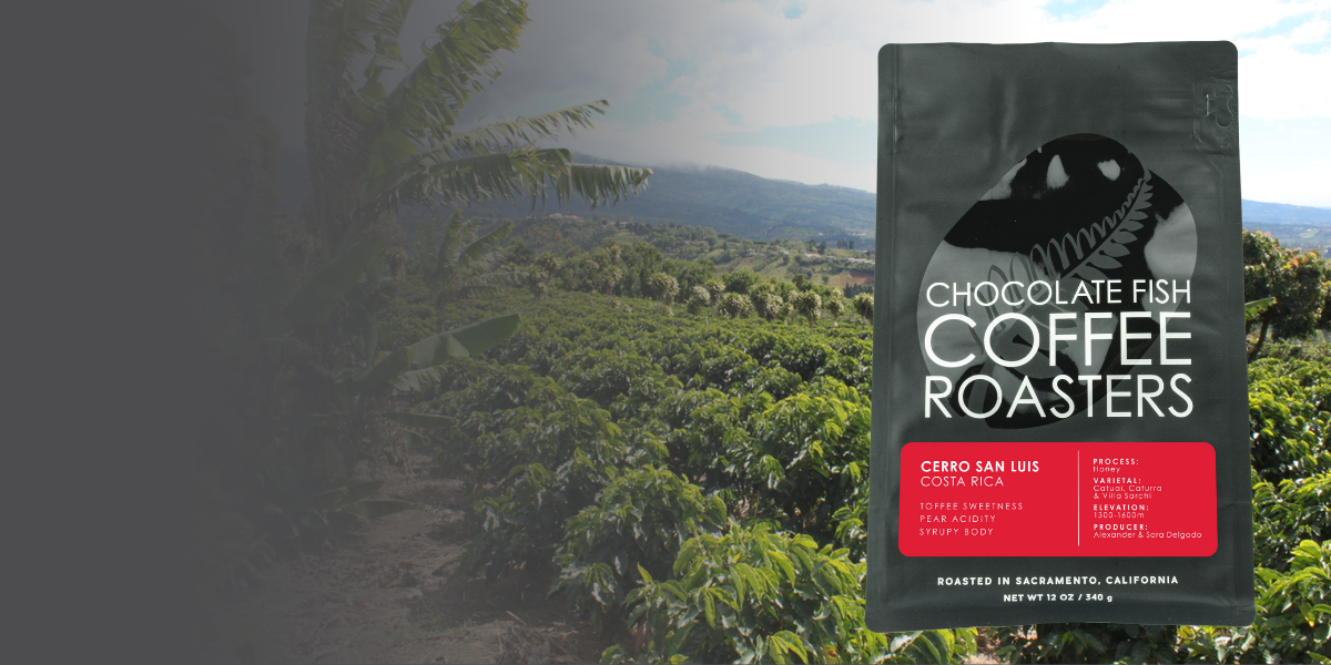 Chocolate Fish Coffee Store | Buy Coffee & Home Brewing Equipment Online