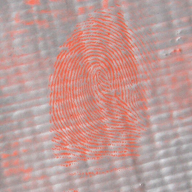 Lightning Powder 1-0009 Red Bi-Chromatic Latent Fingerprint Powder, 2 ...