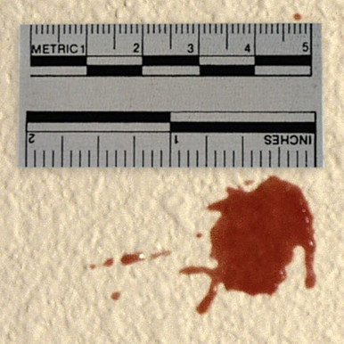 Lightning Powder Adhesive Scales - CopsPlus