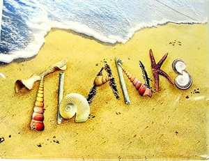 Beach & Shell Thank You Note Cards Pack of 8 - BTN35875