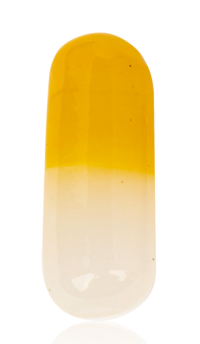 GEAR Premium Two Tone Capsule Terp Pill | Next Level