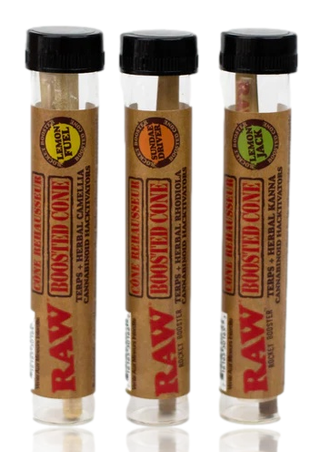 RAW Rocket Booster with Terps | Pre-Rolled Cone | Next Level