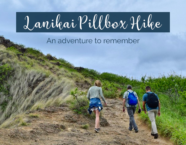 Lanikai Pillbox Hike (Kaiwa Ridge Trail)- A Hike to Remember - Island ...