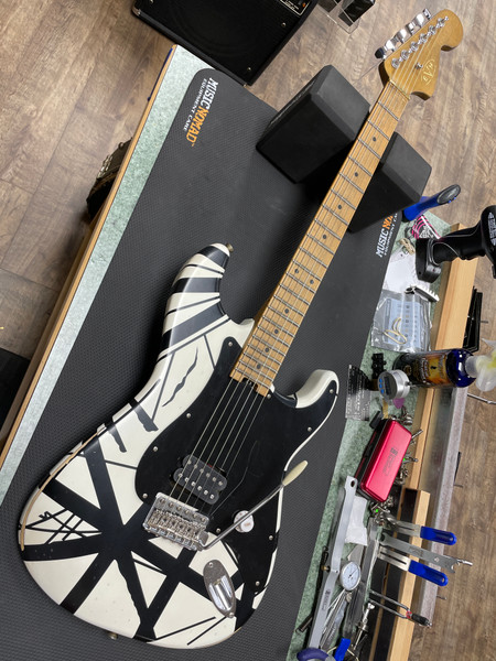 EVH 78 Eruption Black White Stripes