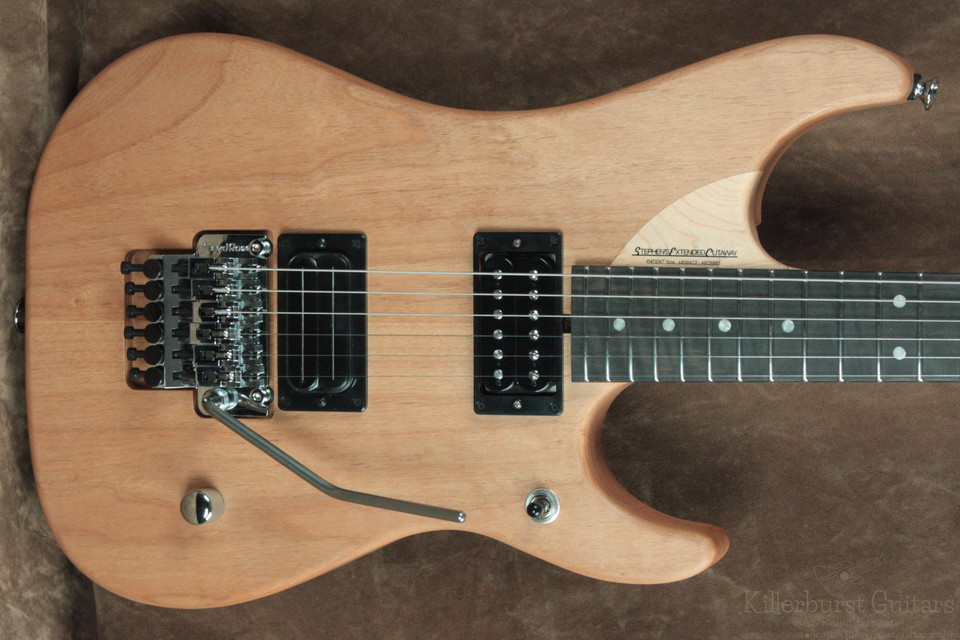 Washburn N4 Vintage - USA