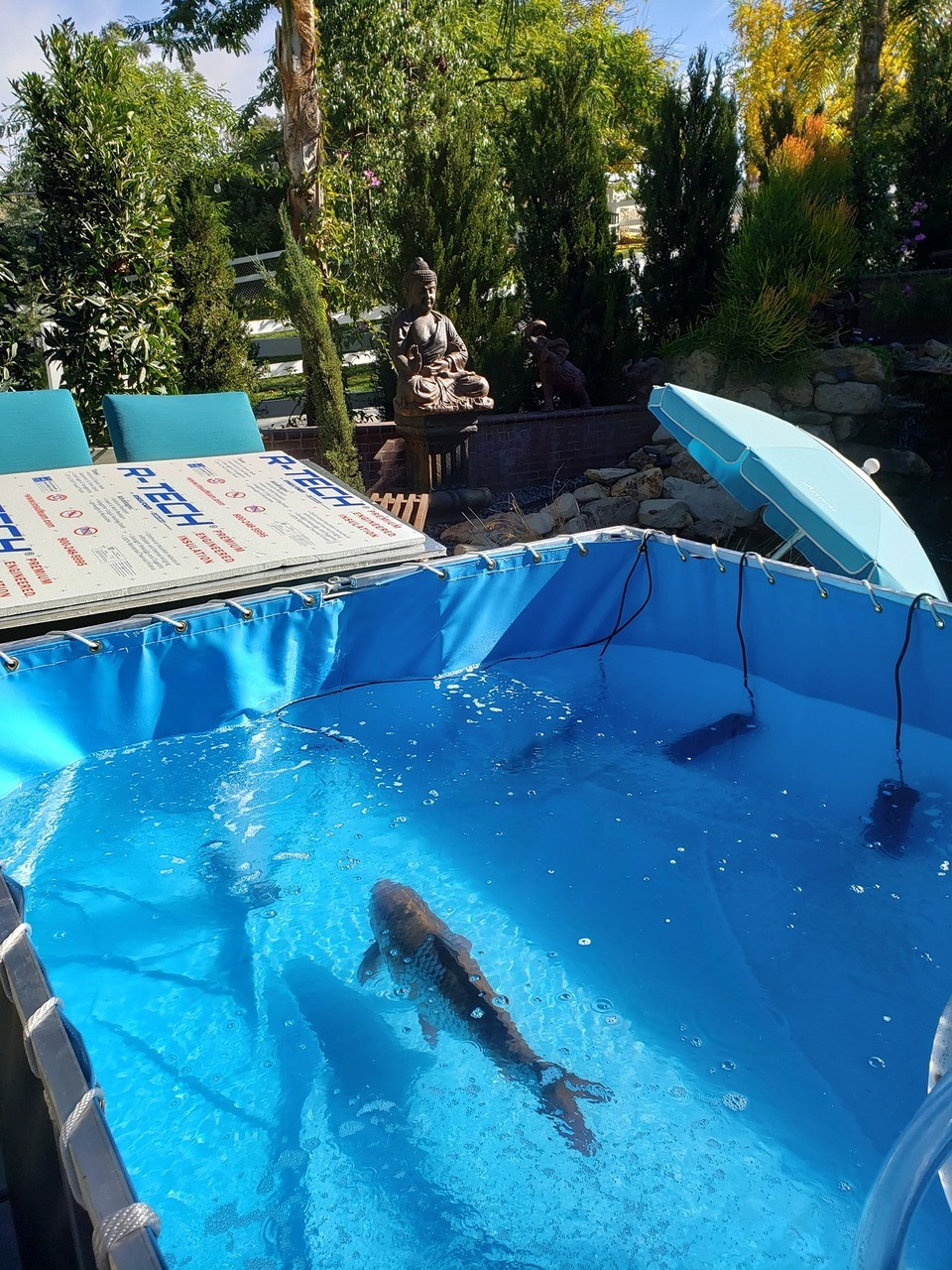 Fish Care - Fish Holding Tanks - Folding & Portable Fish Holding Tanks ...