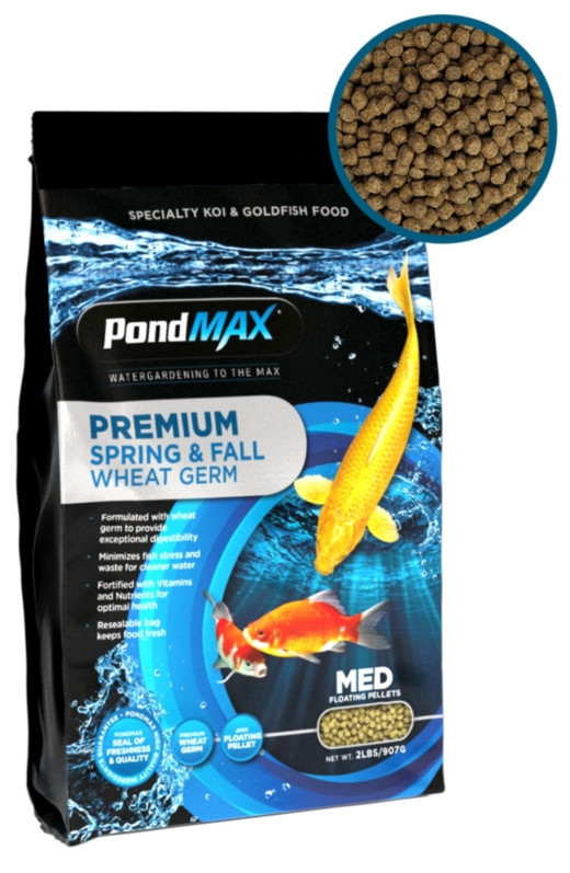 Wheat Germ Fish Food for Koi & Pond Fish by PondMax