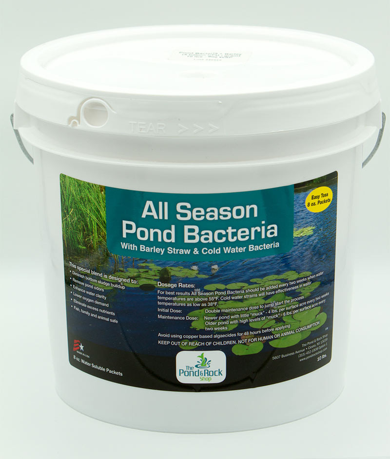 All Season Sludge Remover Bacteria Packets for Koi Ponds by The Pond ...