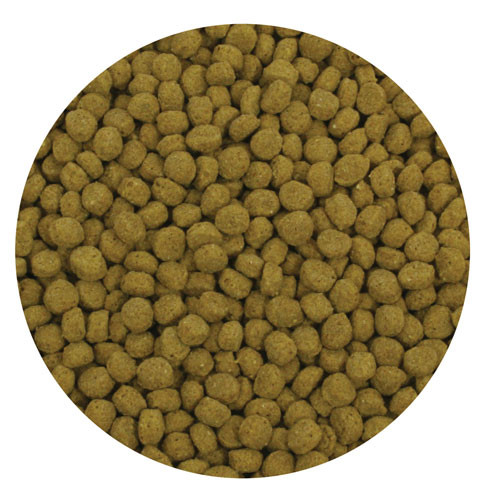 Aquascape Premium Color Enhancing Fish Food - Large Pellet - 44 lbs ...