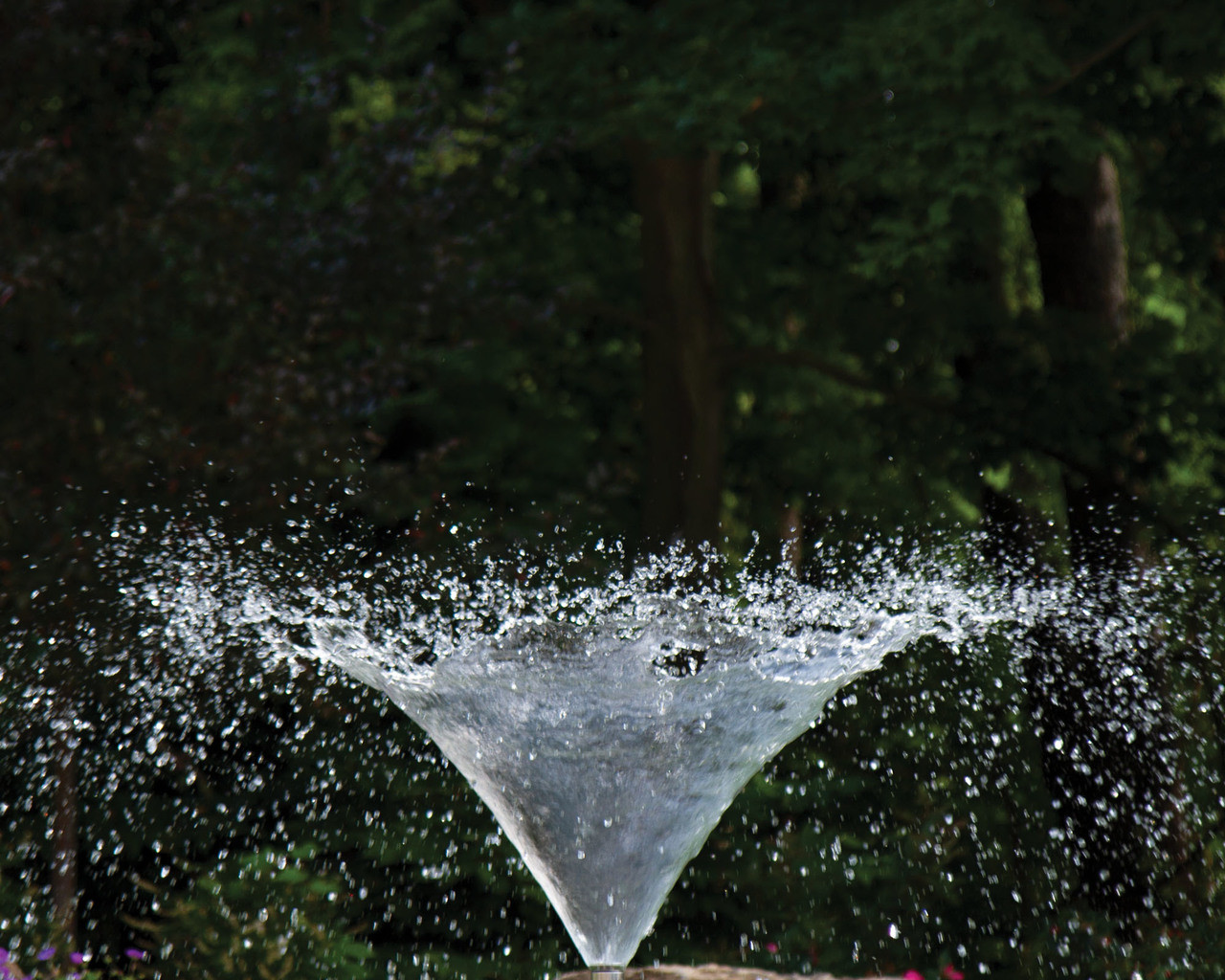 Underwater Viewing Cone
