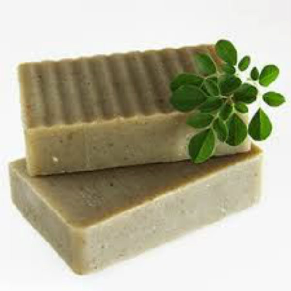 Evive "Papaya Moringa Exfoliating Body Soap" 5oz & 2oz - Shades of ...