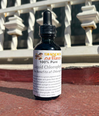 Liquid Chlorophyll 2oz - Shades of Afrika Online