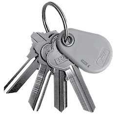 KF-PKT10X50 Key Fob (50 Fobs)