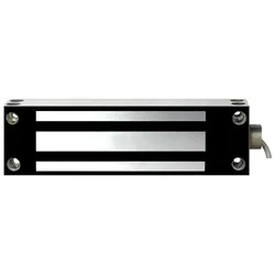 ALARM CONTROLS | 1200WP Magnetic Gate Lock