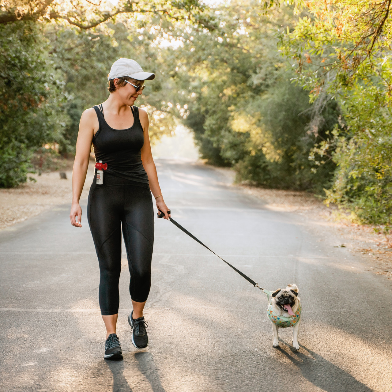 Active Pet Kit
