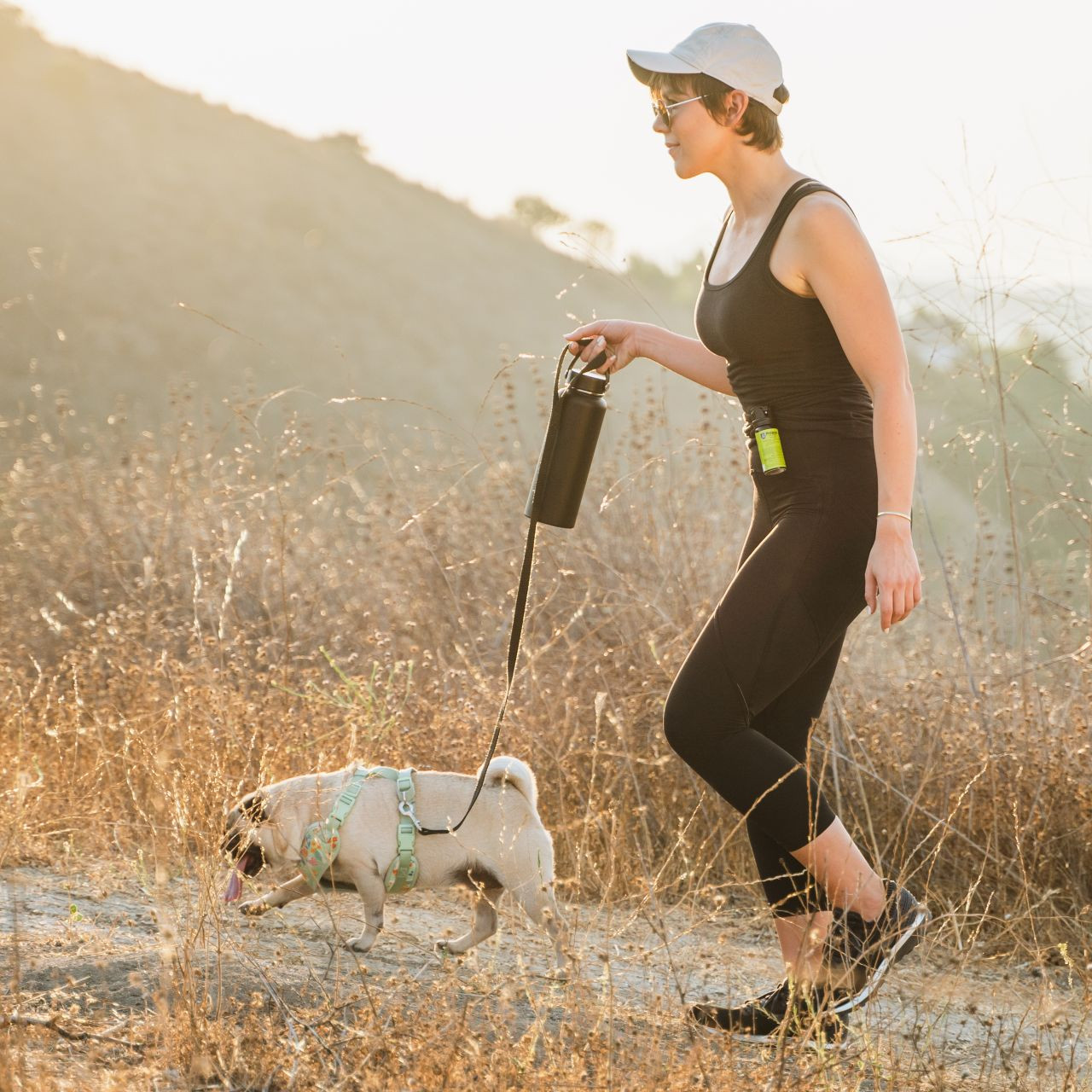 Active Pet Kit