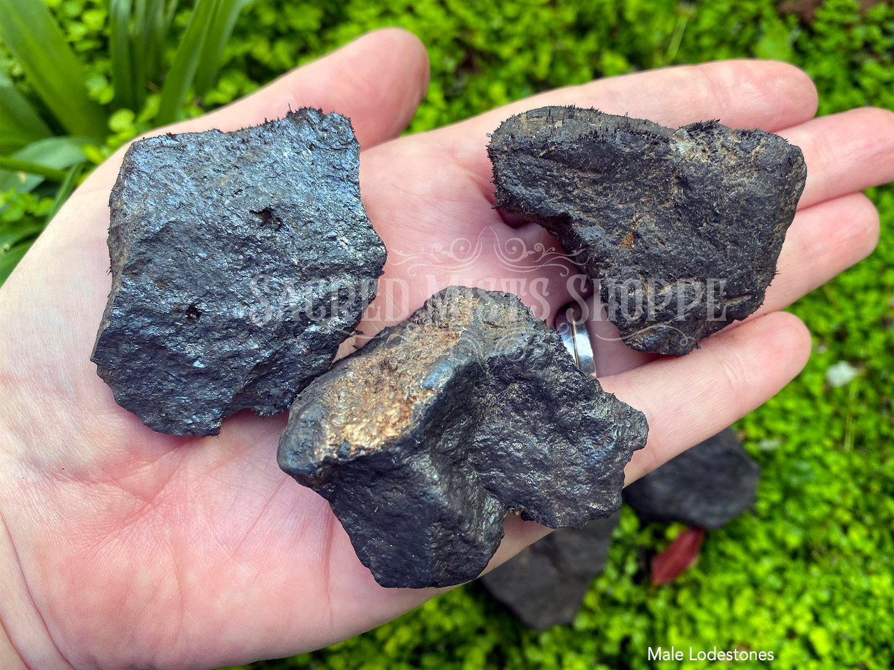 Lodestone Large Highly Magnetic Magnetite Choose Female, Male, or Pair ...