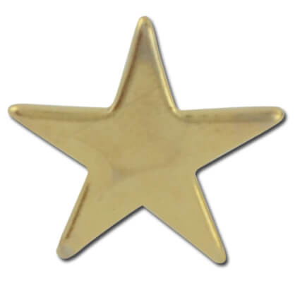 Metal Gold Star Silver Star Pin | StockPins.com