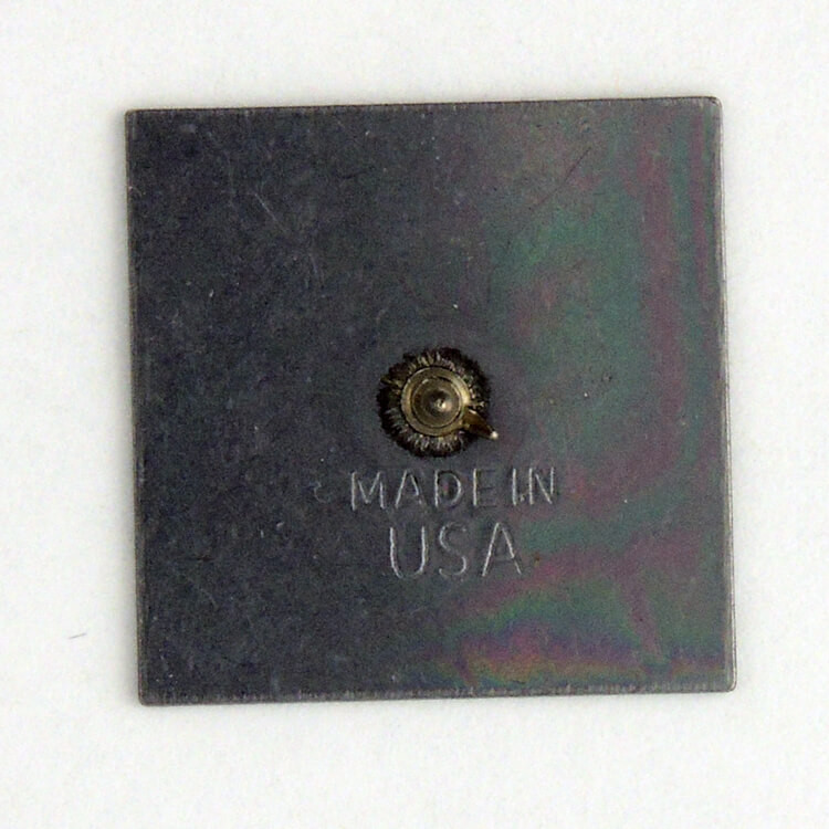 ALS Ice Bucket Challenge Pin - StockPins.com