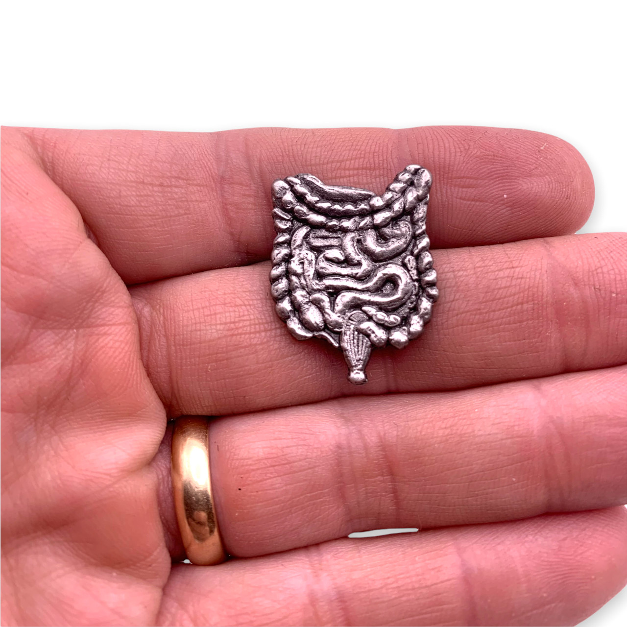 Human Intestines Lapel Pin | Anatomy Pins | StockPins.com